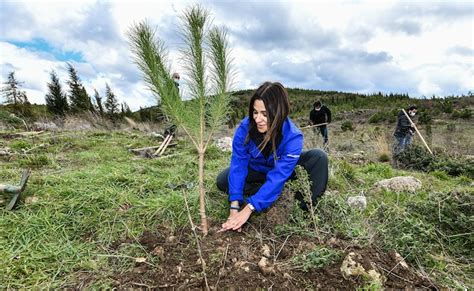 Enerjisa Üretimden 1 Milyon Yeni Ağaç