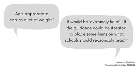 Relationships Sex And Health Education To Be Reviewed By Panel Of Experts To