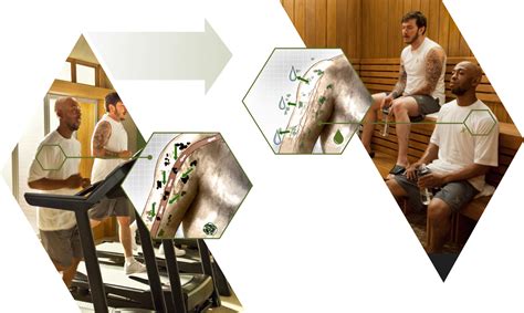 New Life Detoxification Narconon