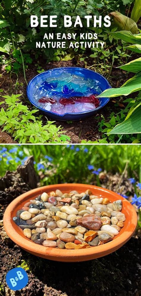 5 Minutes To A Bee Friendly Backyard Easy Diy Bee Bath Project