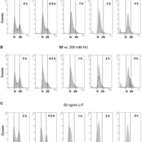 Different Types Of Cell Cycle Arrest At Guillermo Wilbur Blog