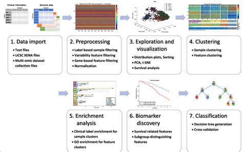 Promos Subtype Discovery Workflow From Data Import To Subtype Download Scientific Diagram