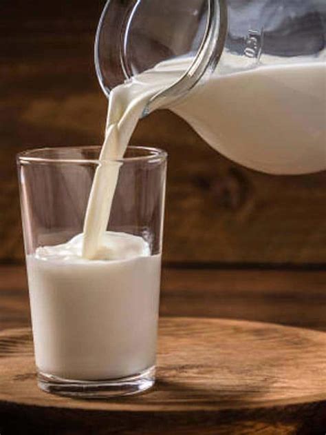 What Is Cockroach Milk 5 Health Benefits Of New Age Superfood