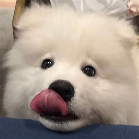 Publications Ailiang Lin 林霭良