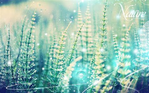 Aesthetic Nature Computer Wallpapers Top Free Aesthetic Nature