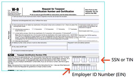 Ein Vs Tin The Difference And Why It Matters