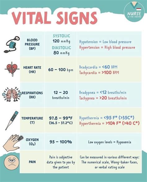 Adult Vital Sign Ranges Artofit