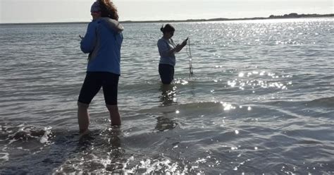 Alertan Que Hay Microplásticos En Más Del 90 De Los Ejemplares De Una