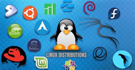 Deesha Khobragade On Linkedin 2 Navigating Linux With Ease An Introduction To Basic Commands