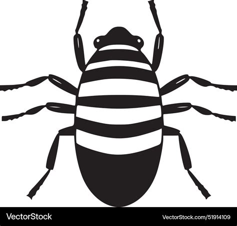Cockroach Black And White Royalty Free Vector Image
