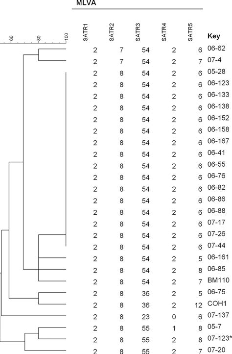 Mlva Cluster Analysis Of 27 St17 Strains Included In The Study Using