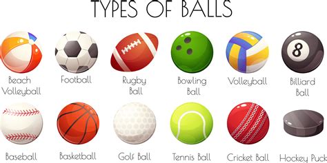 Information Poster About Types Of Balls For Sports Games Educational