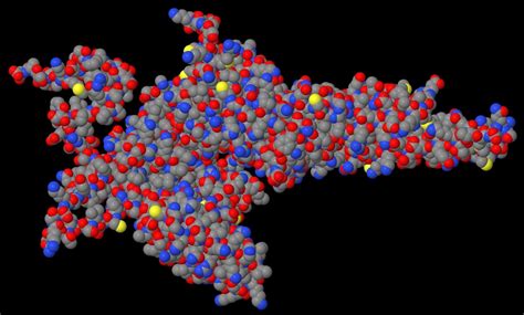 Human Stat4 Protein Molstruc