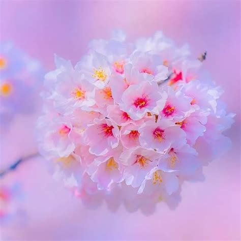 Beny Beny9748 • Threads Say More