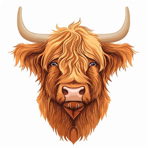 Funny Highland Cow Face Clipart Isolated On White Background Premium