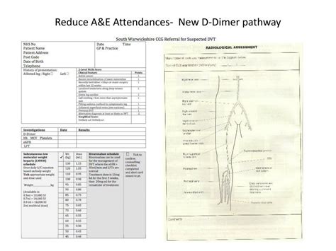 Ppt Pathway Iron Deficiency Powerpoint Presentation Free Download
