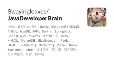 Github Swayingleaves Javadeveloperbrain Java Javasejvmspring
