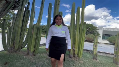 Los Limoncitos Youtube