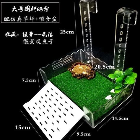 Turtle Drying Back Climbing Platform Ladder Brazilian Turtle Climbing Frame Drying Platform