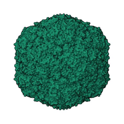 Rcsb Pdb 9i8d Structure Of Encapsulin From Arthrobacter Sp