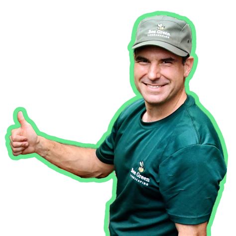 Bee Green Landscaping Garden Maintenance And Renewal