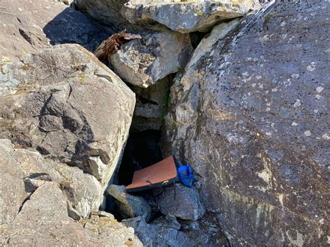 Sutton Creek Sutton Pass Vancouver Island British Columbia Canada North America