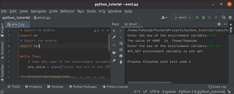 Python Printing Environment Variables