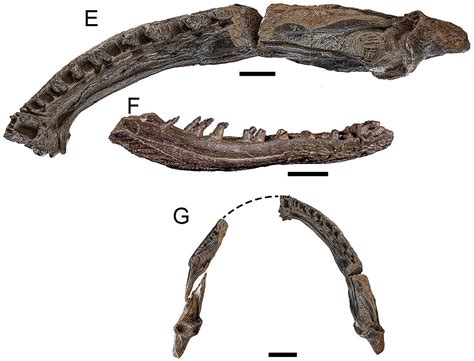 Koolasuchus Bbcprehistoricworld Wiki Fandom