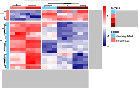 Creating Pretty Heatmaps From Rna Sequencing Normalised Count Data