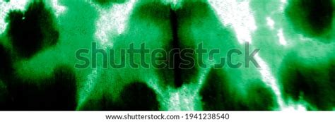 Sex Dibujo De Sabio Para Colorear Dibujos Para Colorear Imprimir Gratis Over 1 Royalty Free