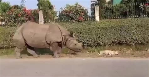 Dump Of Random Stuff I Saved Over The Years But Now Im Formatting One