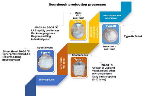 Yeast Fermentation Process In Bread At Melvin Slater Blog