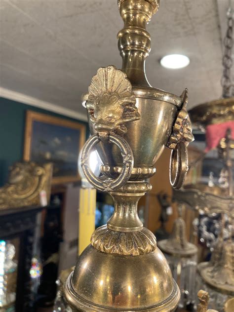 Shop The Brass Alligator