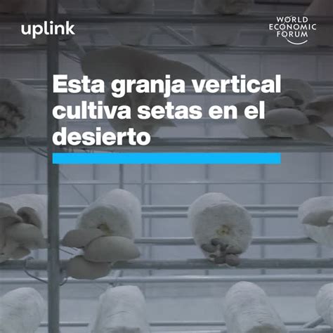 Elizabeth Márquez Posted On Linkedin