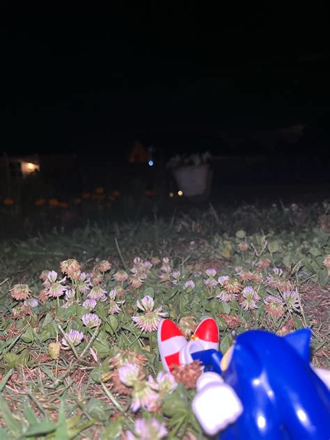 Sonic Relaxing At Night R Jakkspacificsonic