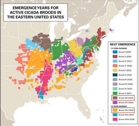 Coming This Spring B School News