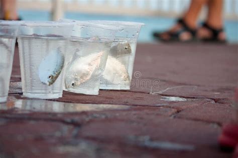 Catch In Glasses Stock Image Image Of Glass Pier Singapore 51093763
