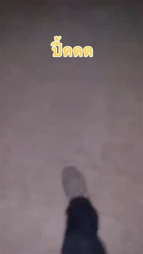 ผู้ใช้บัญชีนี้ดูทีวีอยู่ 📺 Deksinsuper • Instagram Photos And Videos