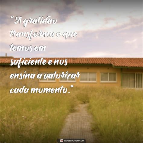 Transforme Sua Vida Com Frases Motivacionais De Gratidão Inspire Se Diariamente Frases Do Bem