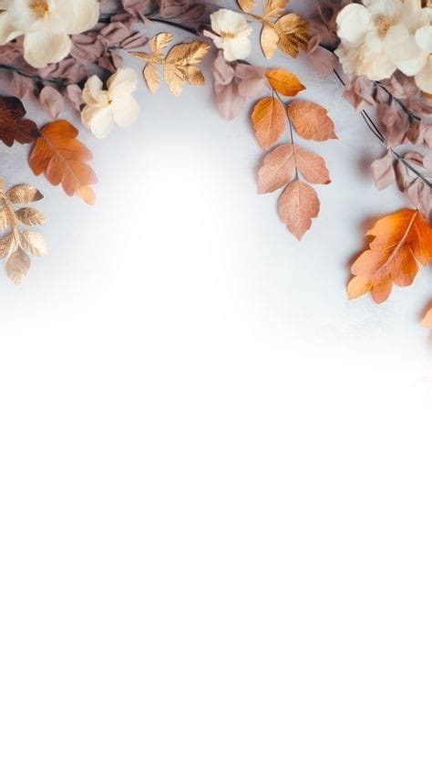 Pin By Paa Jo Mills On 3d Borders Flowers Photography Wallpaper Poster Background Design