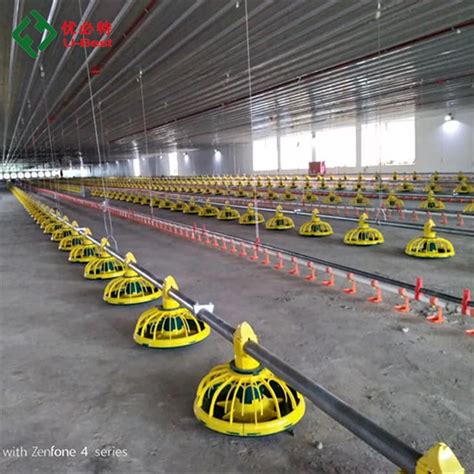 Tunnel Ventilated Broiler House Farm For Chicken Equipment China