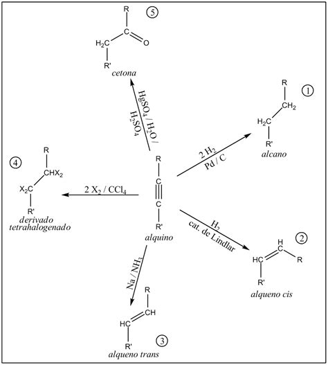 Reactividad De Alquenos Imagenes