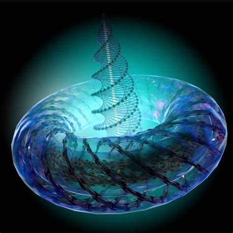 The Toroidal Dna A Fractal Antenna For Subtle Energy Dna Spiral