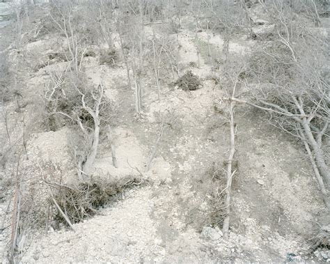 Anna Collette — Gallery Kayafas