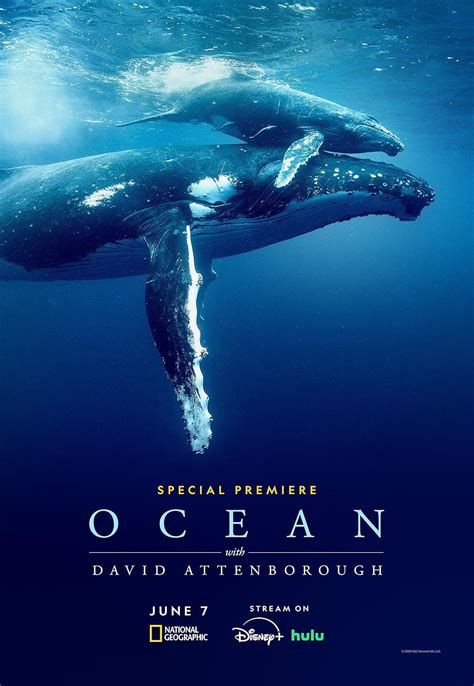 Ocean With David Attenborough Ocean Habitats Shapes
