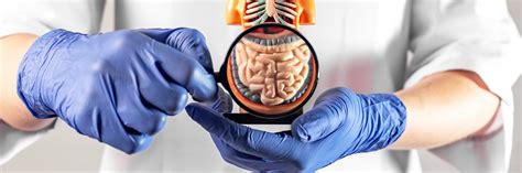 Een Nieuwe Podcast Over Het Microbioom Buikbelang