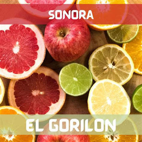 El Gorilón Power Mix Youtube Music