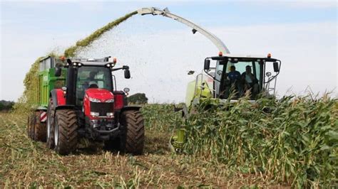 Ensilage Maïs Versé Quel équipement Et Comment Sy Prendre