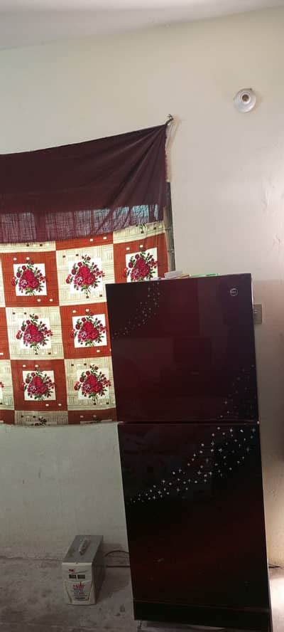 Ruby Chill Fridge Pel Refrigerator Refrigerators 1095657813