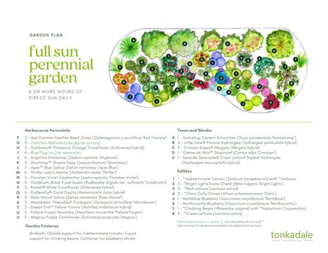 Perennial Garden Plans Tonkadale